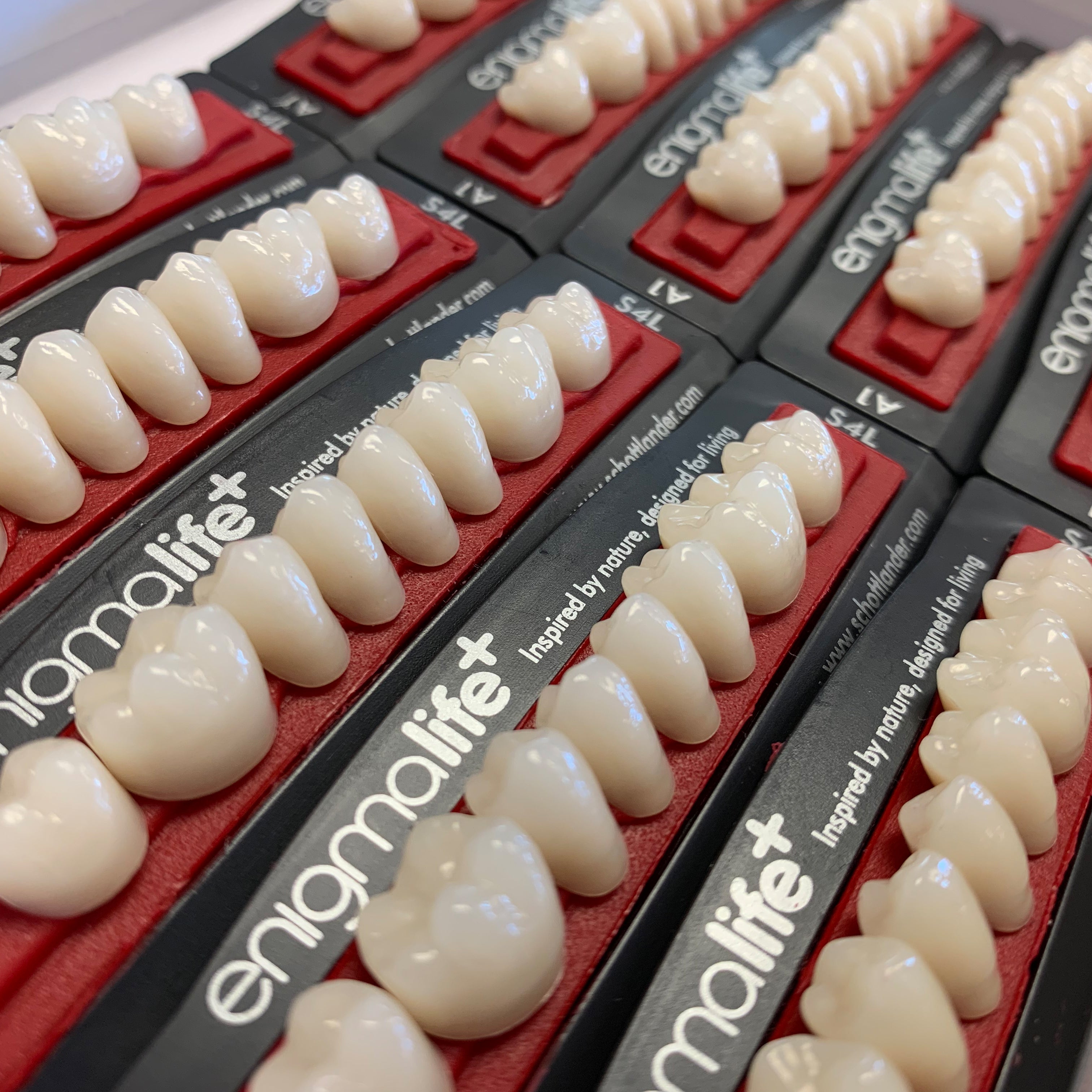 enigmalife+ S Posteriors – Wren Dental USA
