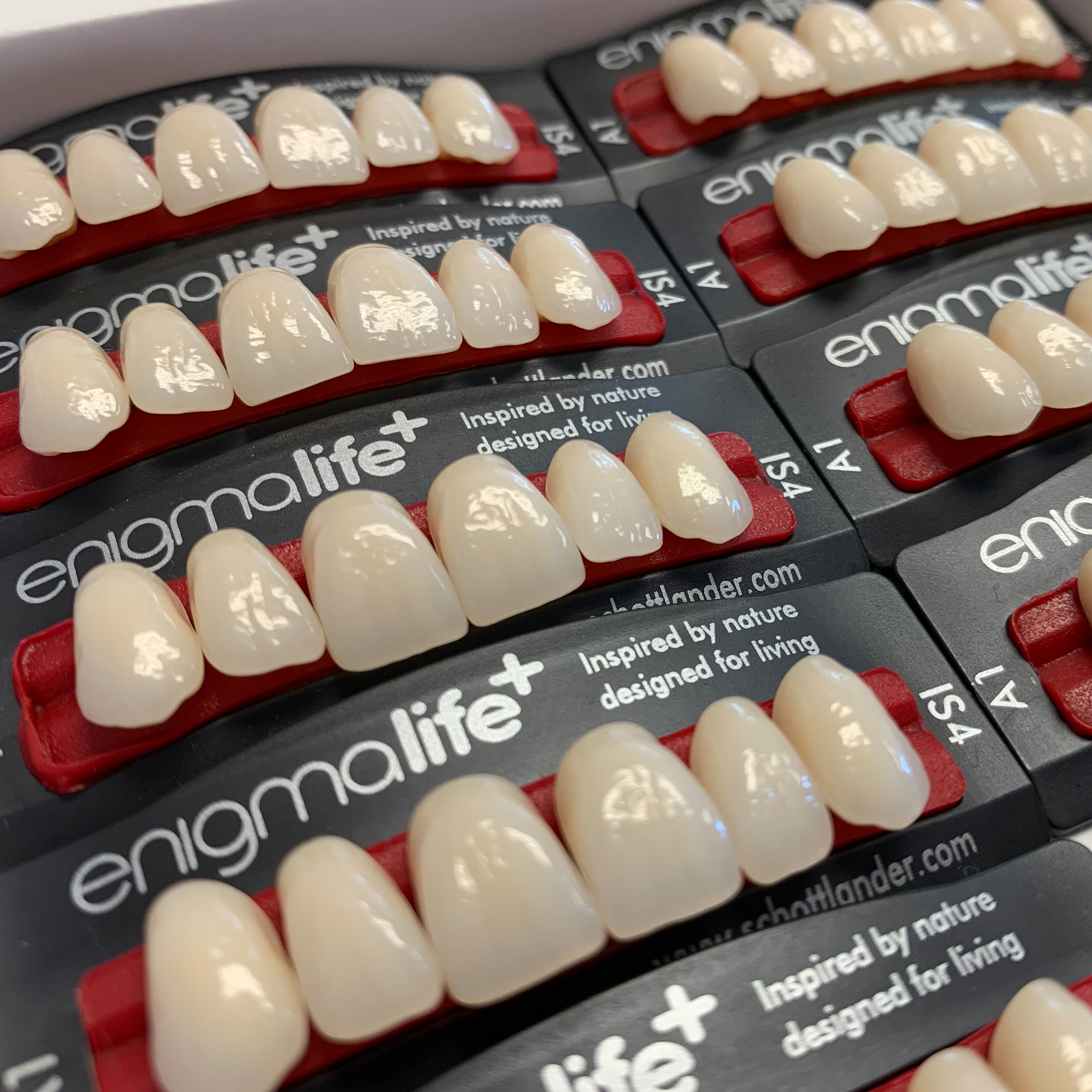 enigmalife+ Inspiration Upper Anteriors – Wren Dental USA