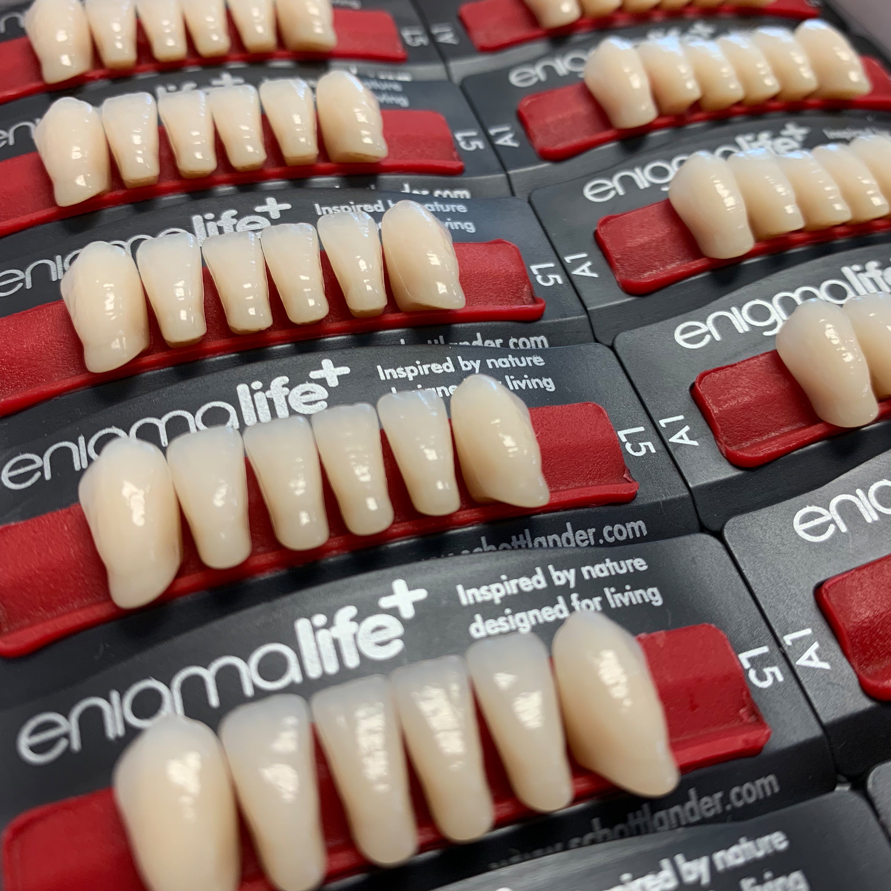 enigmalife+ Lower Anterior – Wren Dental USA