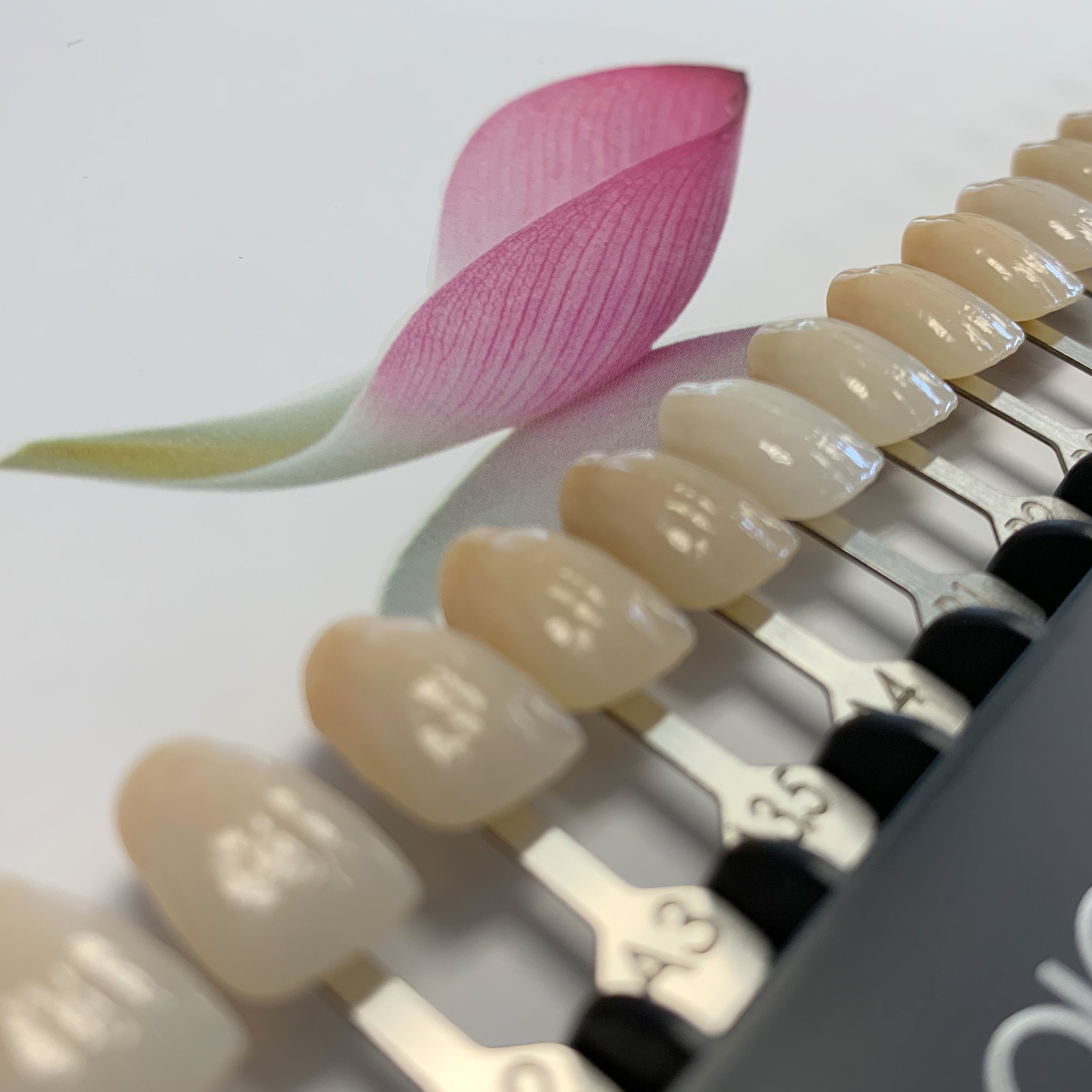 enigmalife+ Accessories – Wren Dental USA