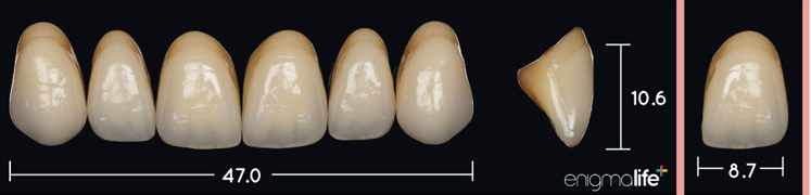 D88 enigmalife+ Character Upper Anteriors – Wren Dental USA