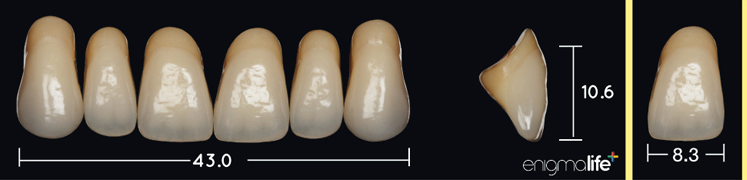 K24B enigmalife+ Character Upper Anteriors – Wren Dental USA