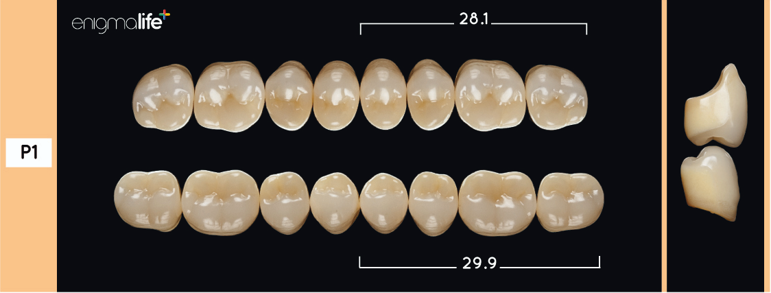 P1 enigmalife+ Posteriors – Wren Dental USA