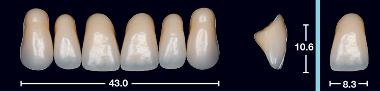 K24B 4natur Upper Anteriors – Wren Dental USA