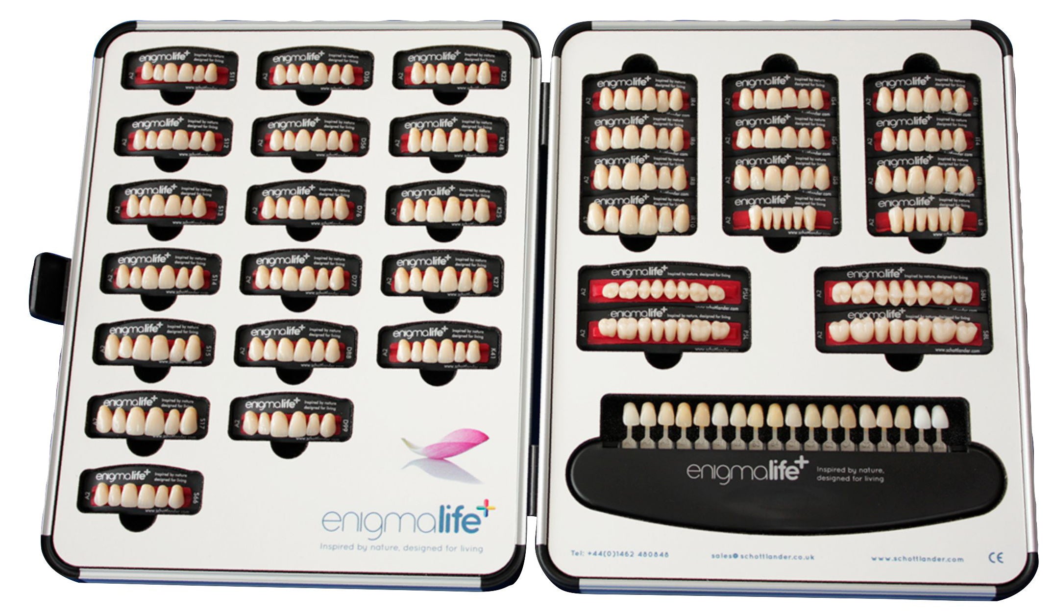 enigmalife+ Chairside Assortment – Wren Dental USA